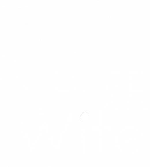 Tailgating Setup - Everything You Need for a Great Tailgate Layout ...